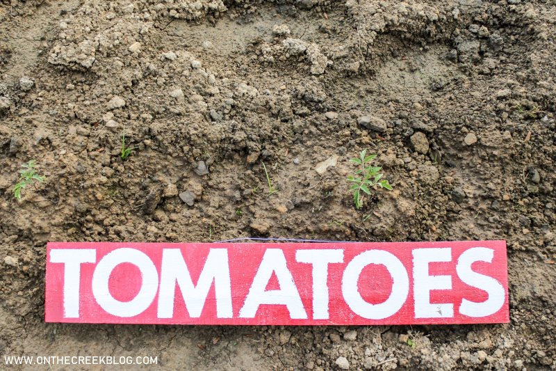 Vintage Inspired 'Tomatoes' Sign - Tiff W. - on the creek blog
