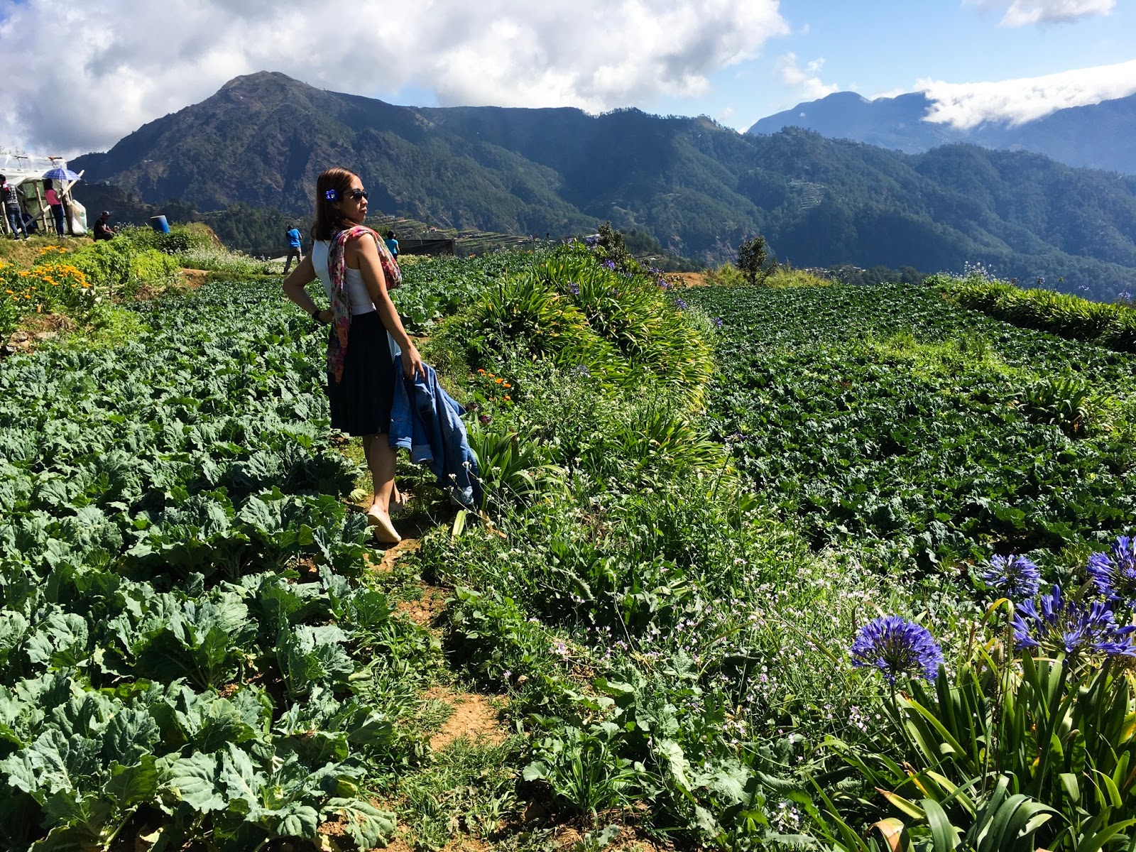 NORTHERN BLOSSOMS FARM, ATOK BENGUET