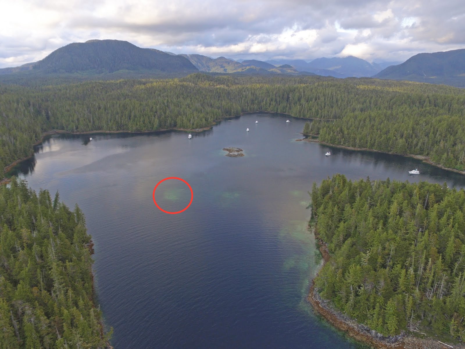 Safe Harbour: Alaska 2016 | Day 12 | Ocean Falls Wigham Cove