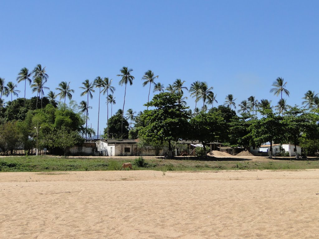 TURISTANDO PELO MUNDO: ALMENARA - CIDADE DA MAIOR PRAIA FLUVIAL DO BRAZIL