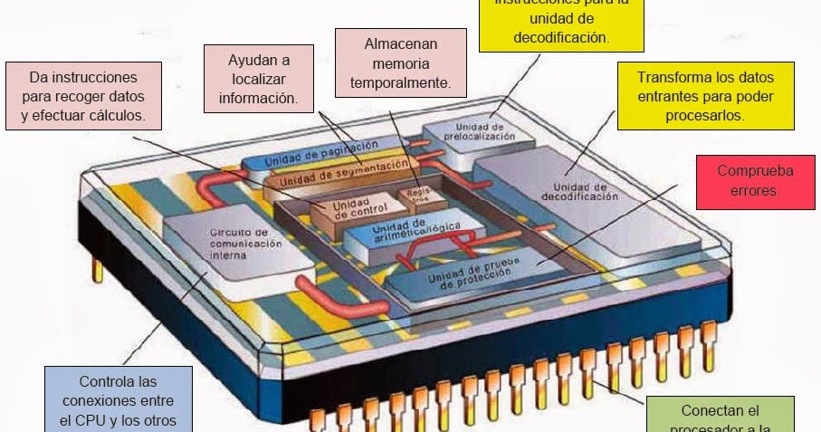 Organización de la CPU: La CPU