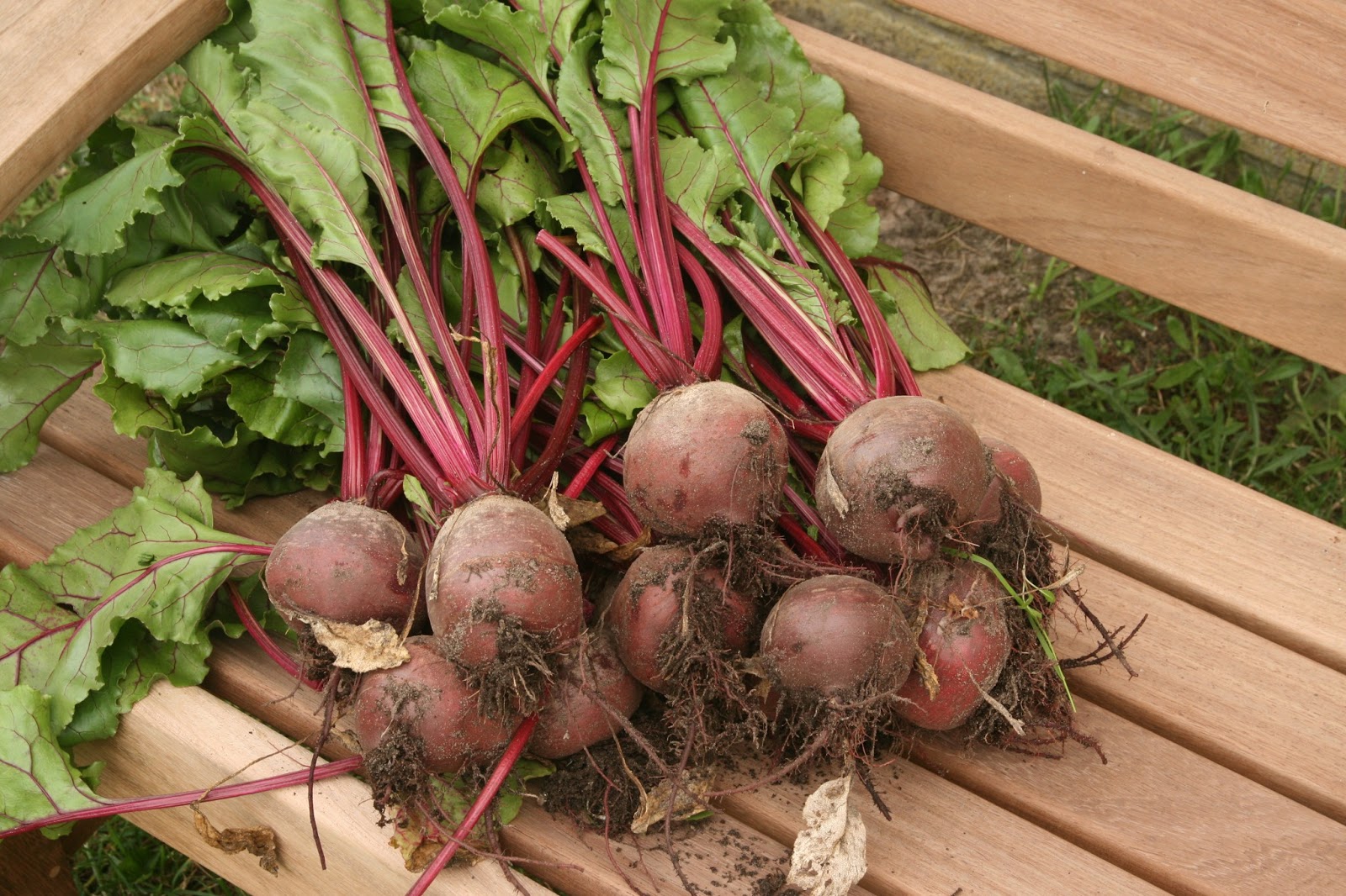 Lekker op het platteland: Salade van rode biet