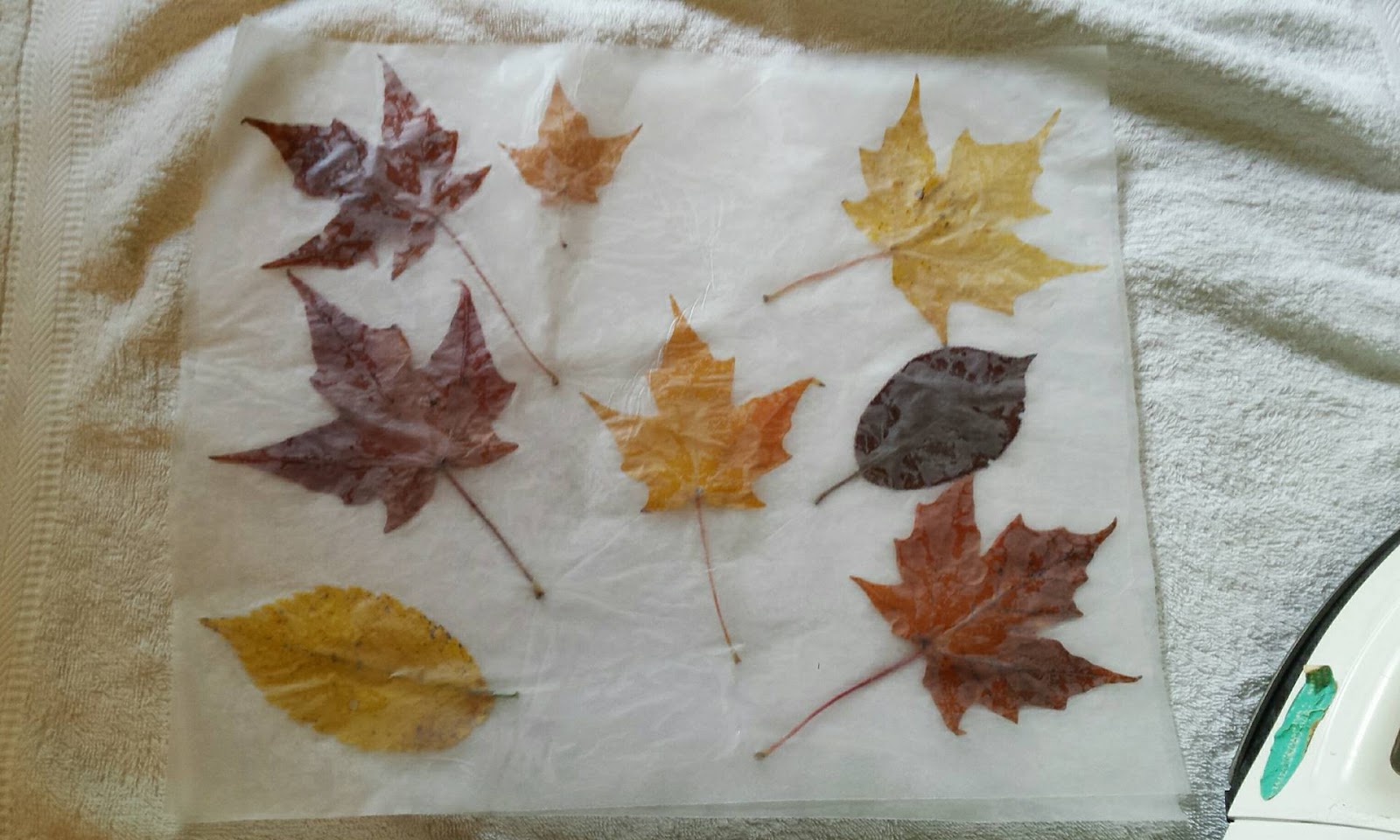 Upcy Preserving Leaves With Wax Paper DIY upcy-preserving-leaves-with-wax-paper-diy