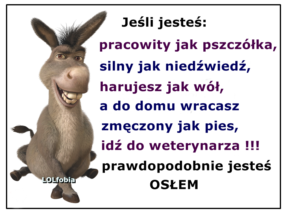 LOLfobia: fajne teksty o pracy