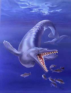 Fauna Prehistorica: DORUDON