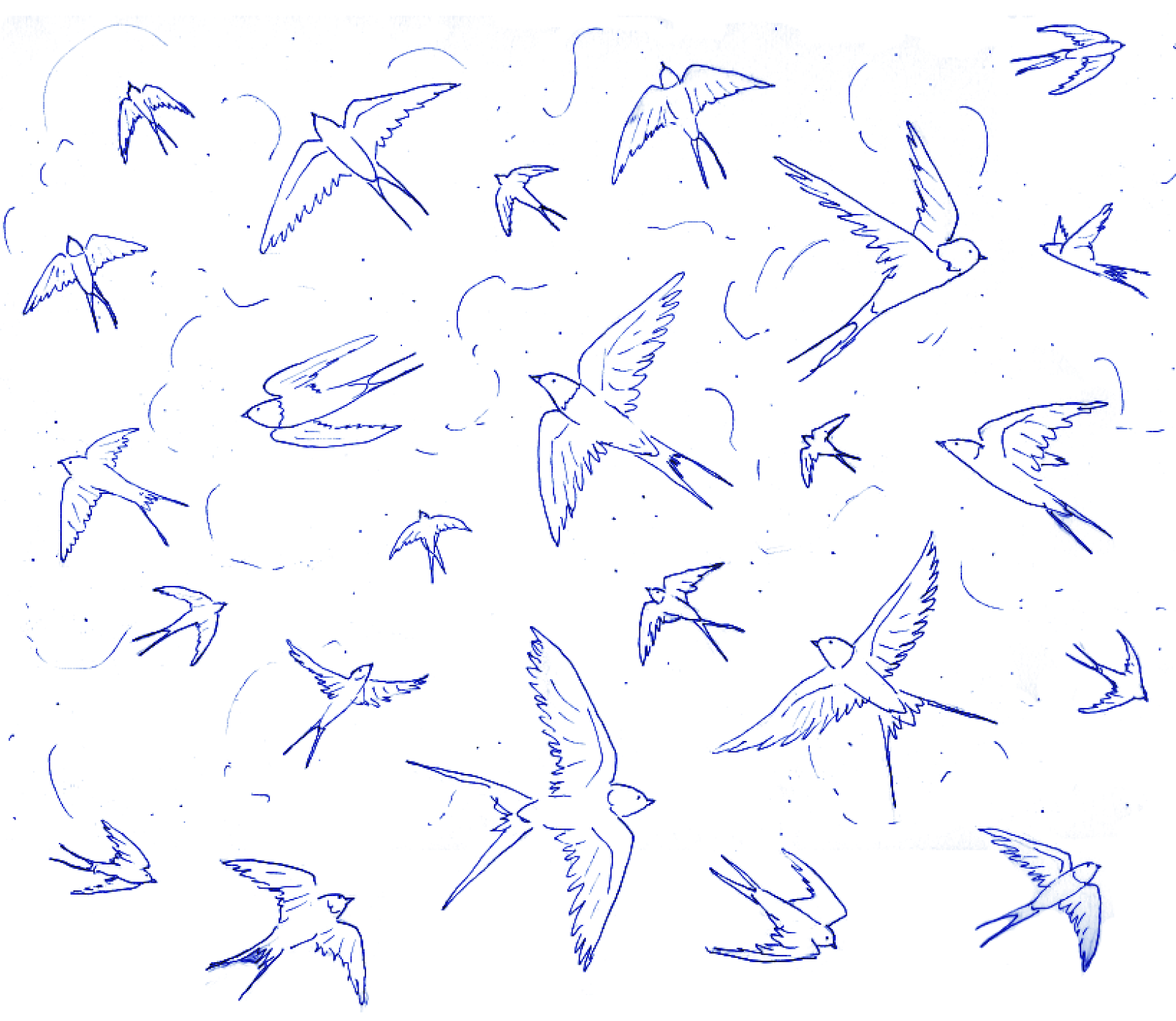 paperhello: Swallow Surface Pattern Design