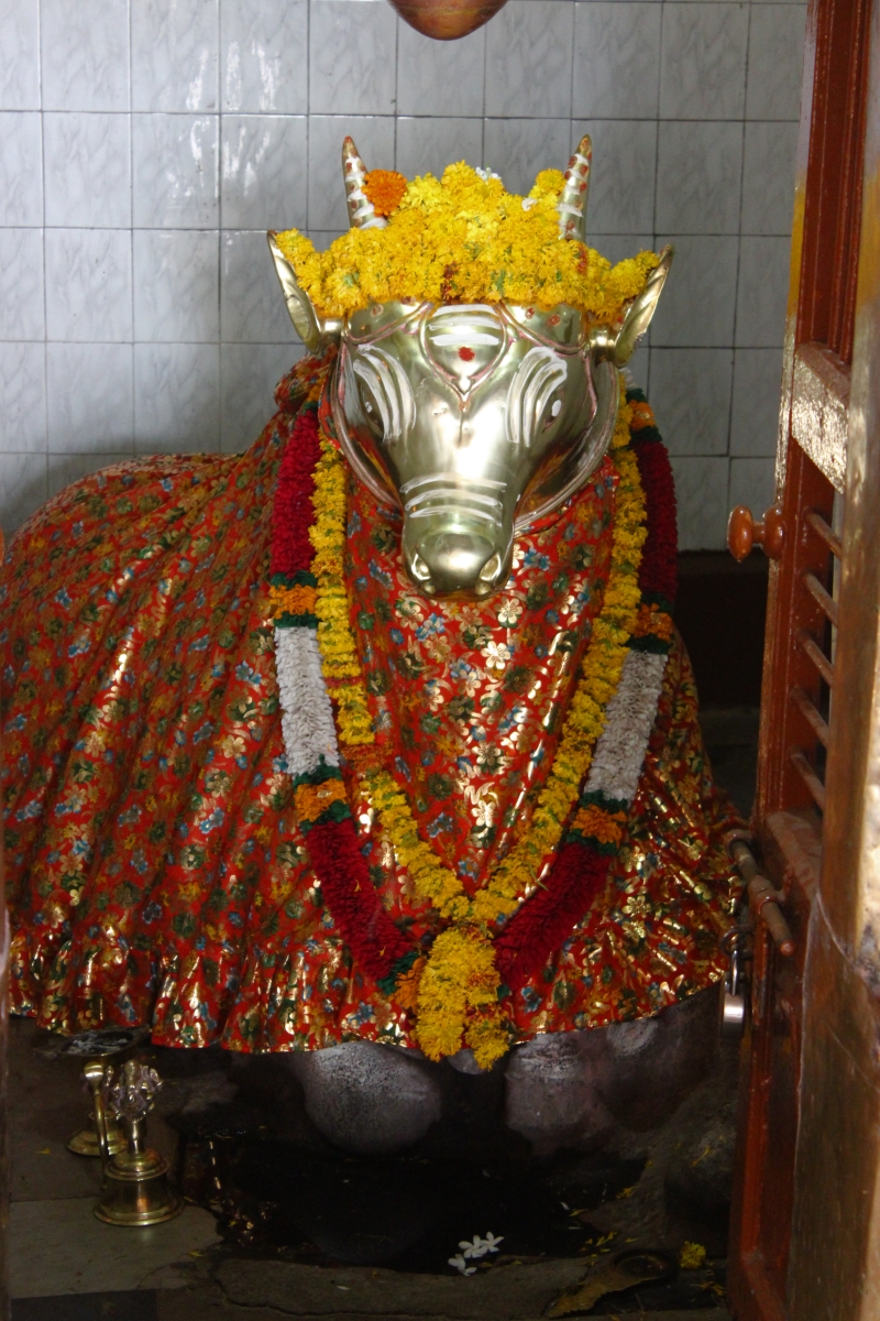 Journeys across Karnataka: Sri Kottala Basaveshwara Gudi, Sedam