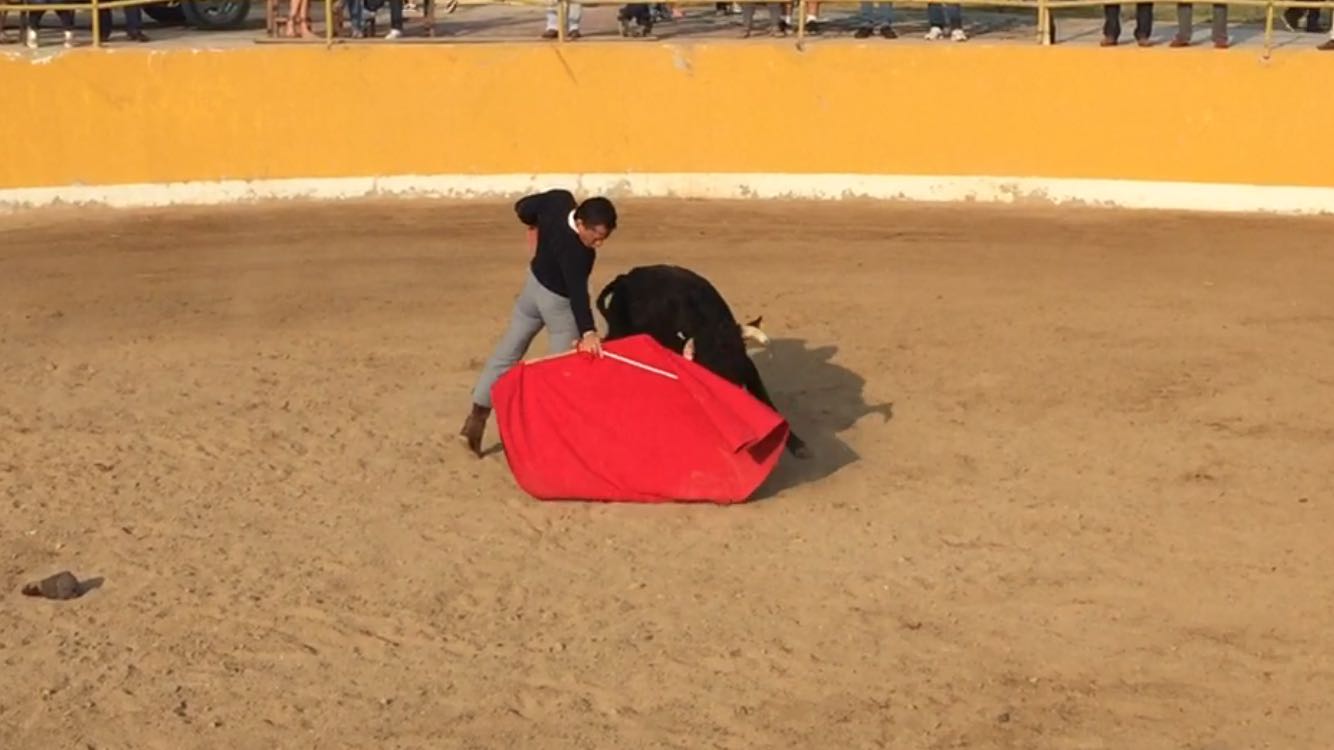 TORERIAS DE CHELIN: APOTEOSICO TRIUNFO DE CHIBOLO DE LIMA EN LURIN LIMA ...