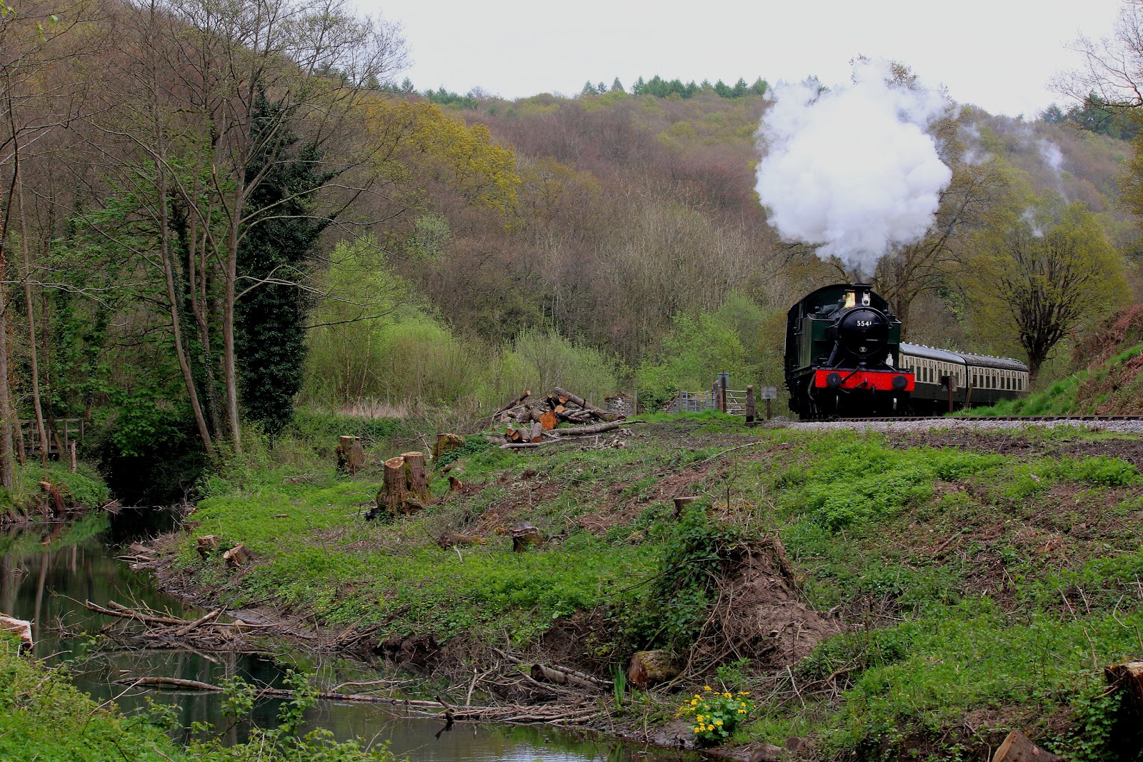 My photo's taken in and around the Forest of Dean: DEAN FOREST RAILWAY