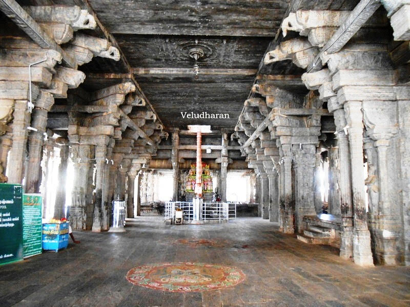 A Wandering Heritager: BHU VARAHA SWAMY TEMPLE, SRIMUSHNAM IN CUDDALORE ...