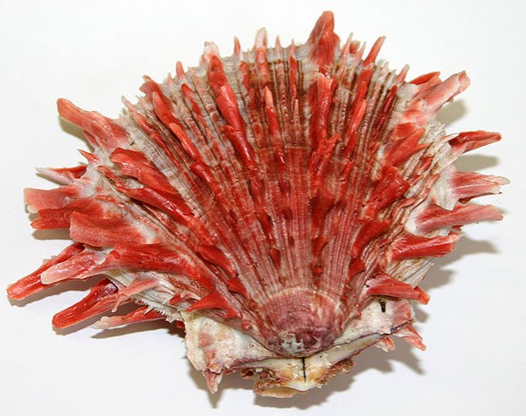 Organize This with Style! (aka Org This): What is the difference in ...