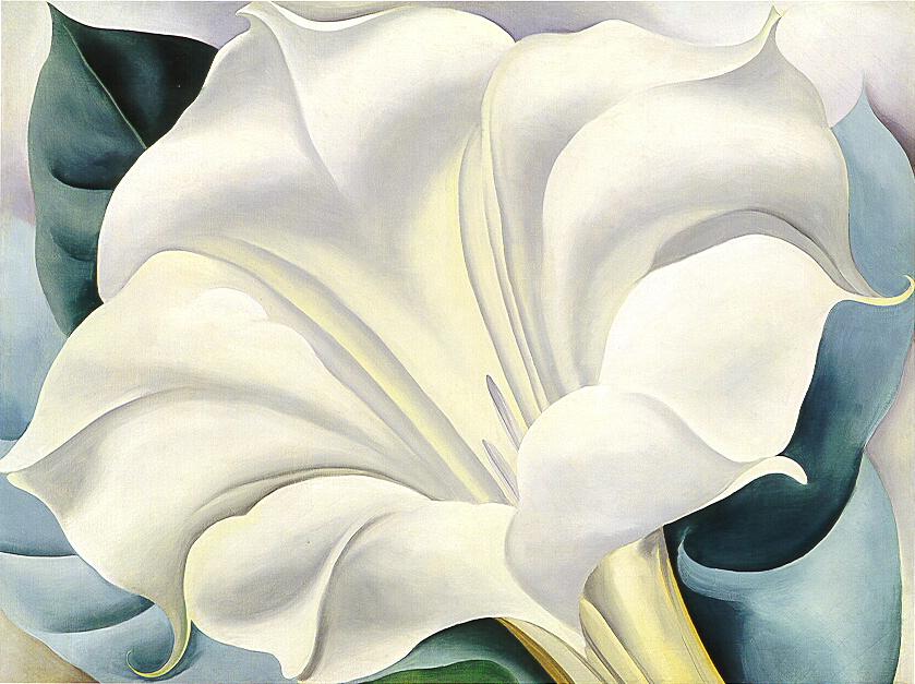 Flores y Palabras: Georgia O'Keeffe: White Trumpet Flower