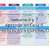 Aprendizajes Esperados para Preescolar, Primaria y Secundaria, Semana 6 ...