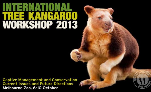 Zoo News Digest: International Tree Kangaroo Workshop