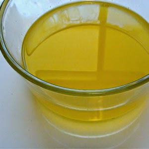 Ghrita - ගිතෙල් - Githel - Herbal Plants of Asia