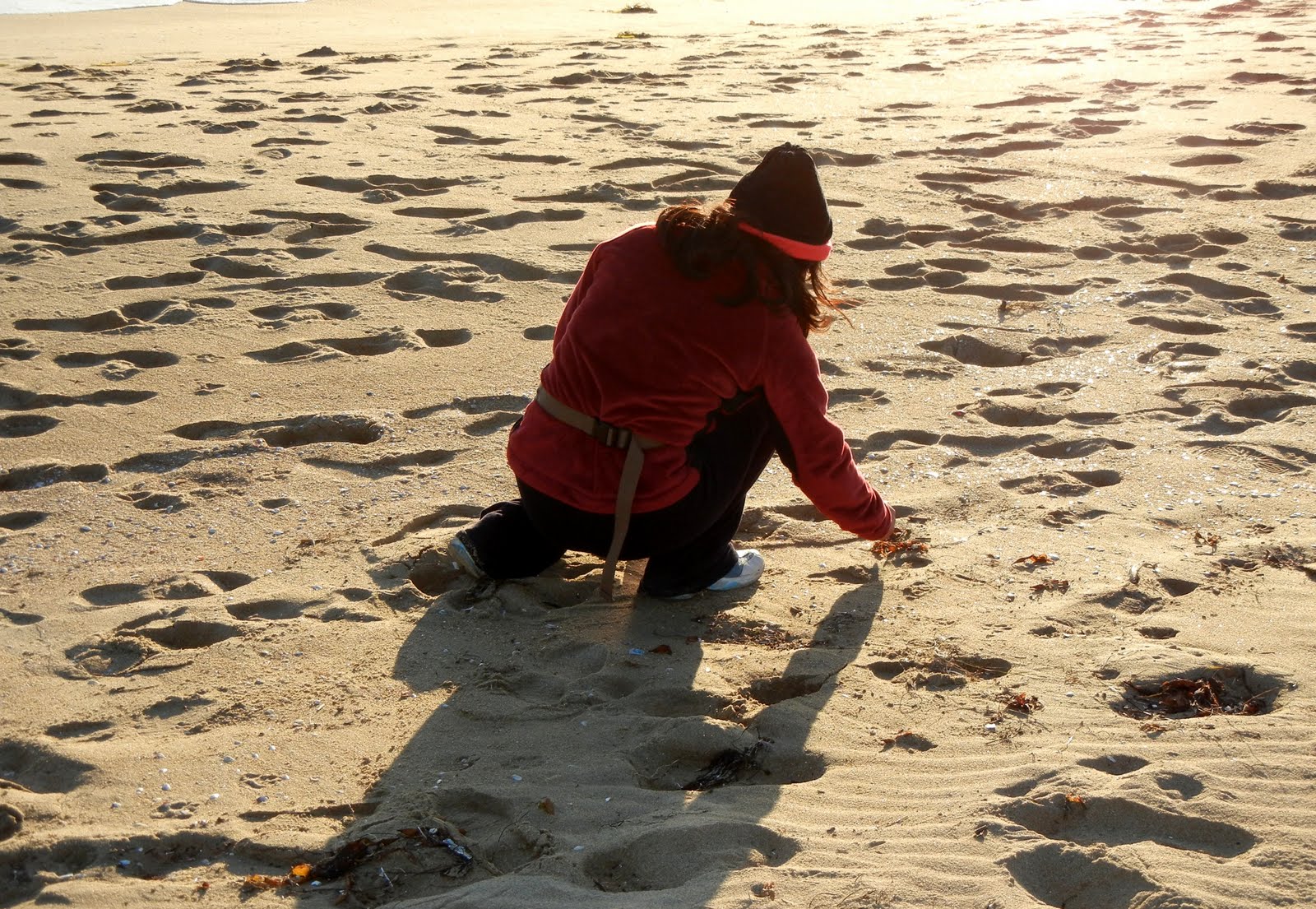 A photo, A thought............: Passion: Joy of collecting seashells ...