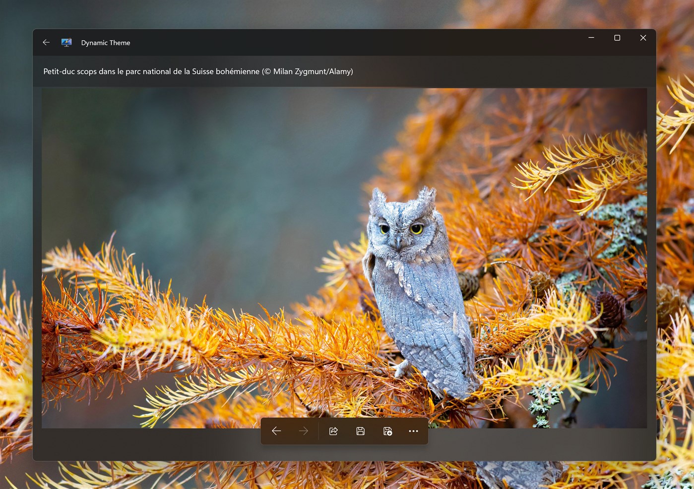 Windows Spotlight of LockSreen & Background in Windows 11 | QTitHow.com