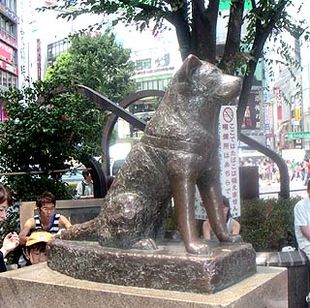 ハチ公物語 Hachiko Monogatari - Câu chuyện về chú chó Hachiko (1987) - Japan ...