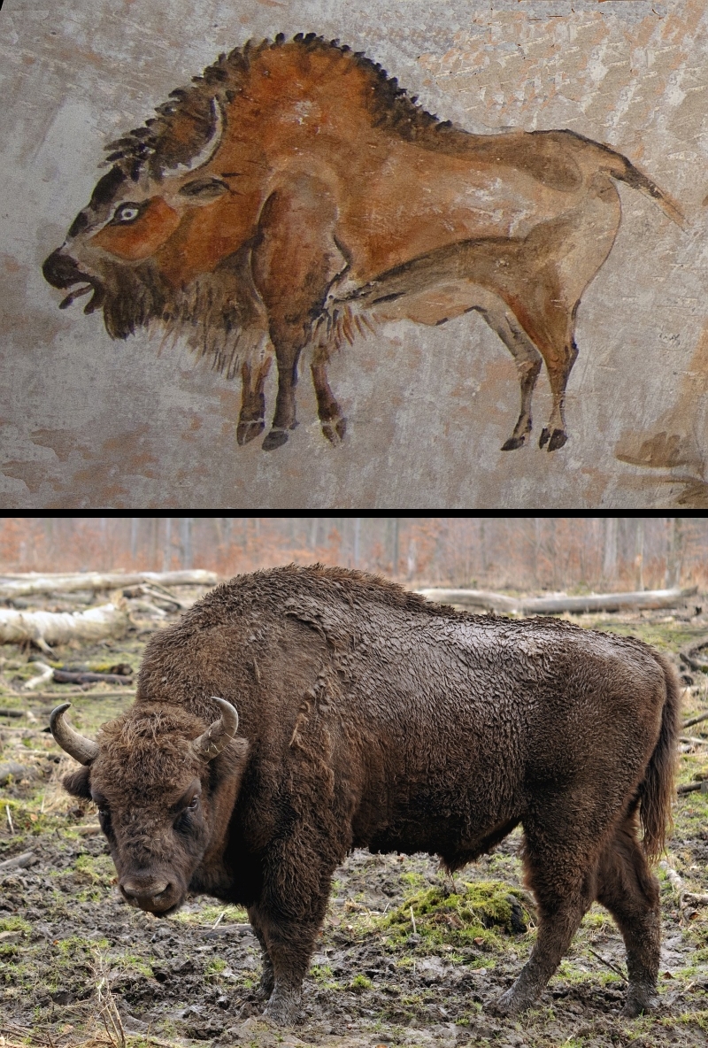 Deconstructing Time: The Origins of Language: When, Why and How