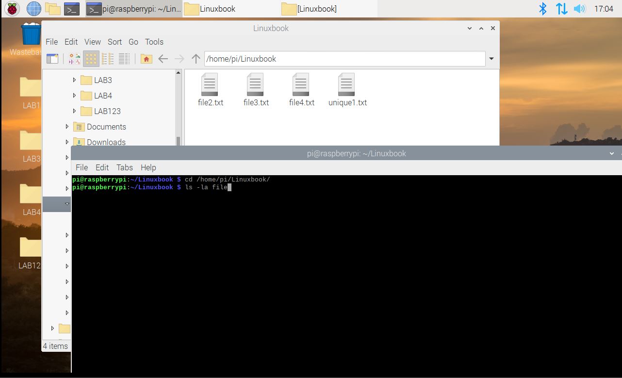 LAB 2 | FULL GUIDE | BASIC LINUX COMMANDS