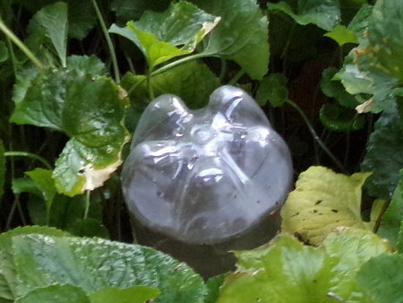 5 Acres & A Dream: Conserving Water in the Garden: Inverted Bottles