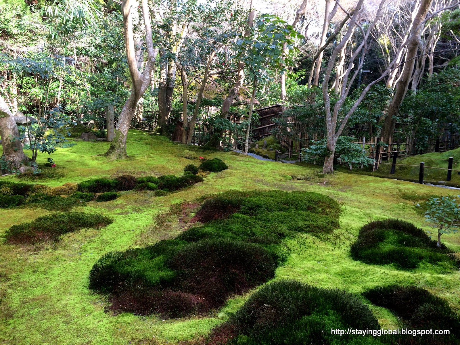 A Global Life: Kyoto - Gioji Temple