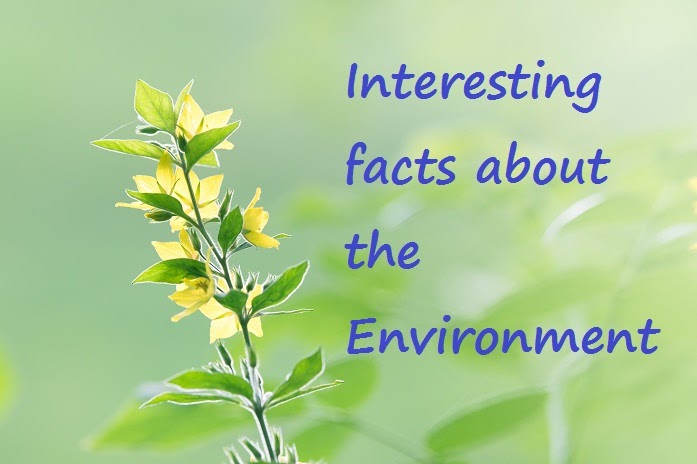 Interesting Facts About Environment - Environment Talks