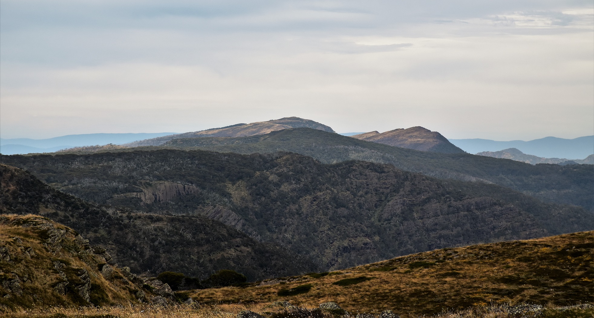 Goin' Feral One Day At A Time: Stanley Name Spur Camp to Upper Howqua ...