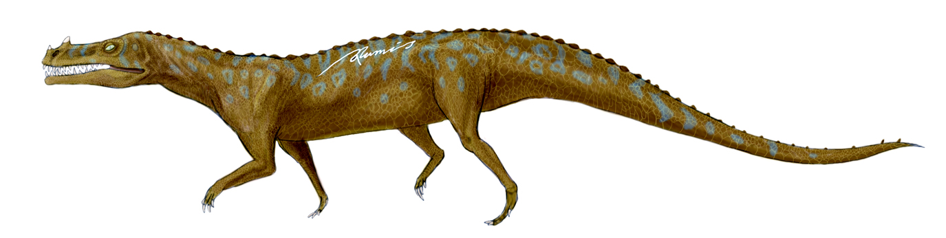 Species New to Science: [Paleontology • 2011] Decuriasuchus ...