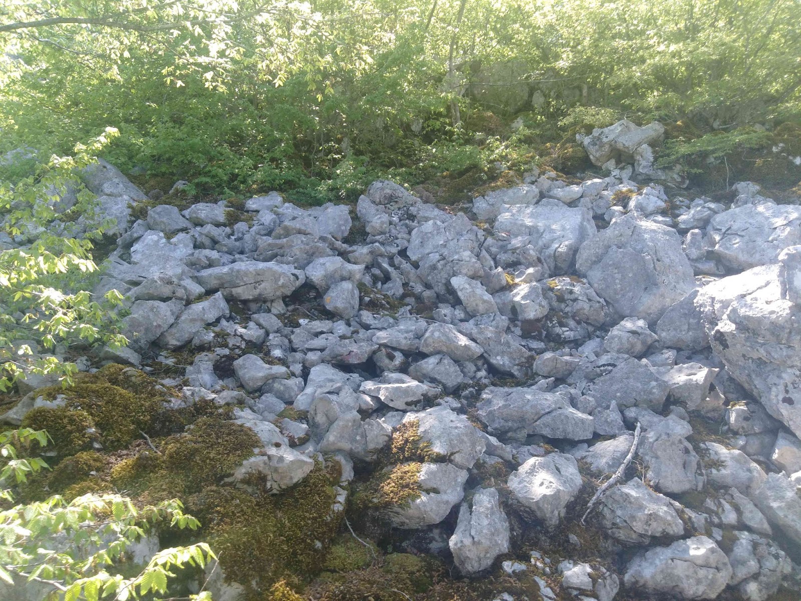 ZABORAVLJENA ILIRSKA GRADINA U GORNJIM MAMIĆIMA KOD ŠIROKOG BRIJEGA ...
