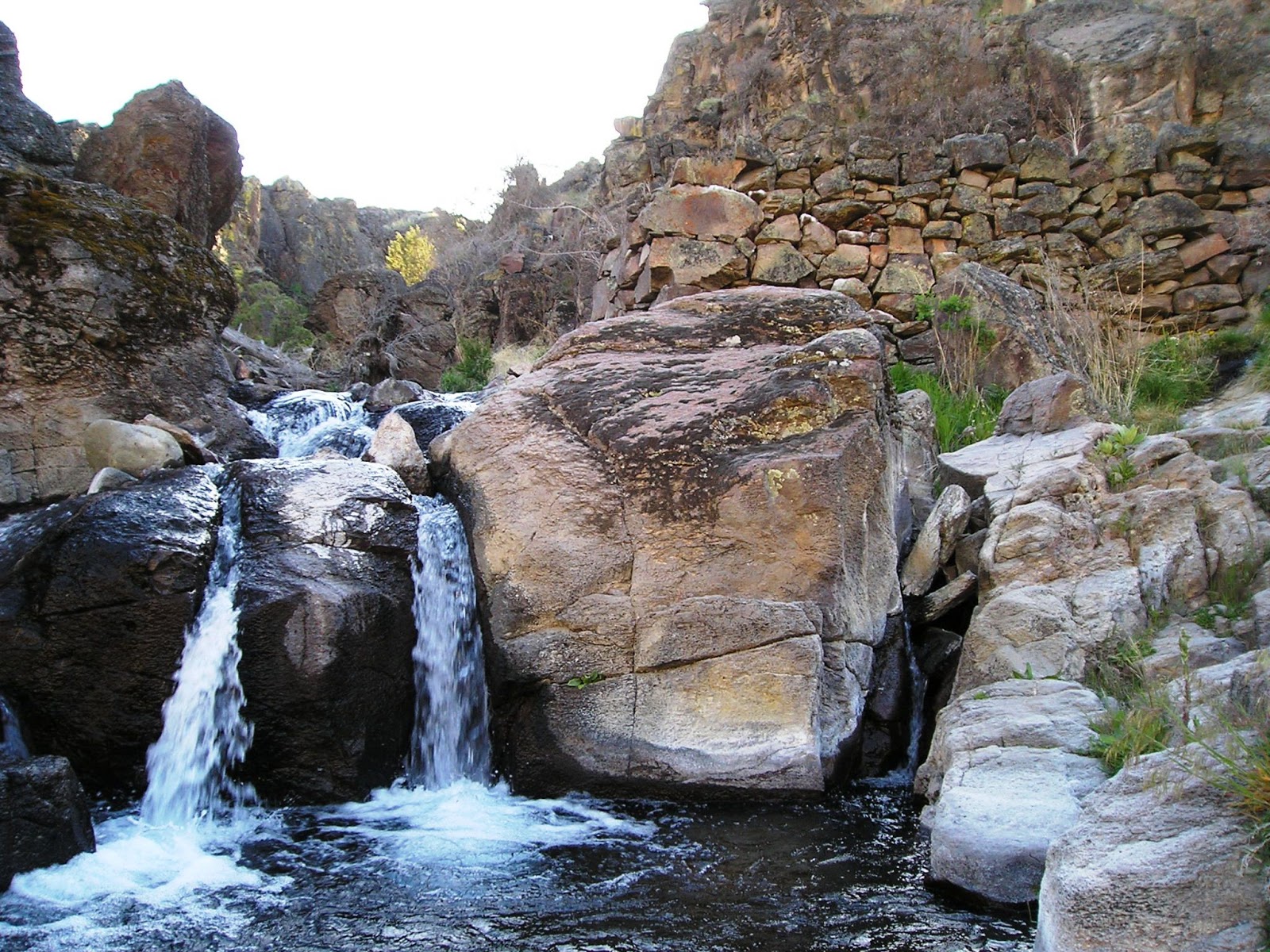 Birding Is Fun!: Three Forks of the Owyhee River