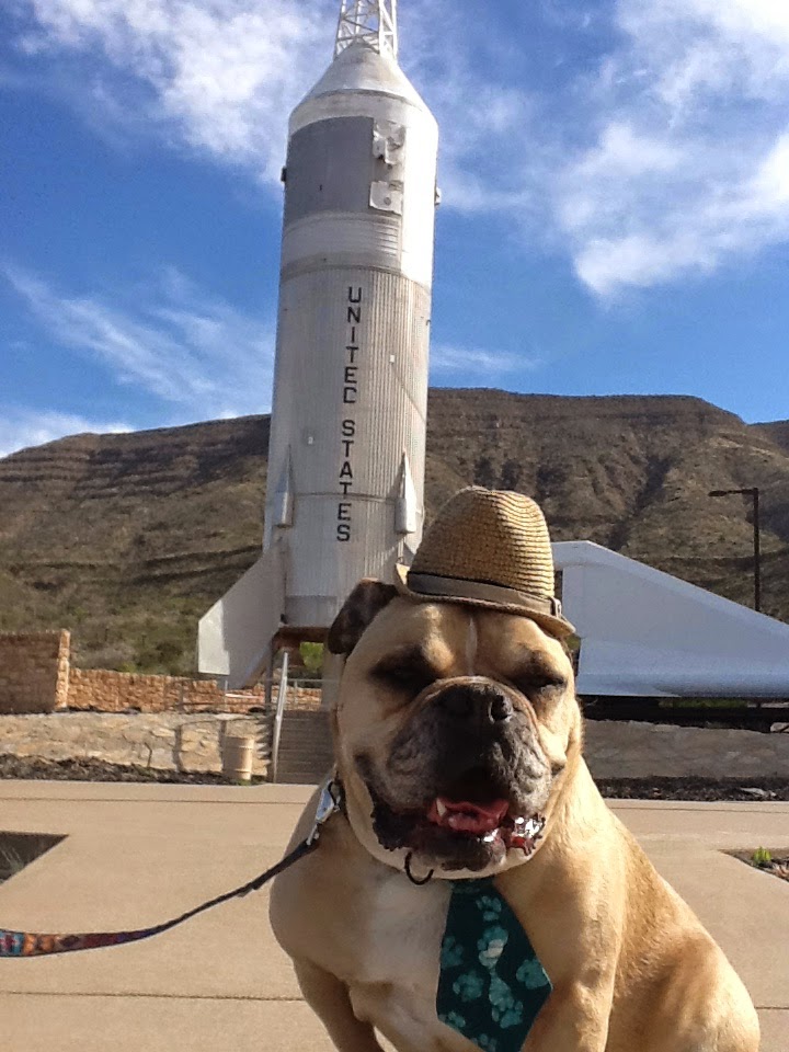 Travelin' Jack's Dog Blog