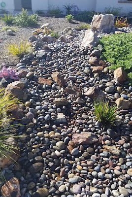 The 2 Minute Gardener: Photo - Dry Stream Bed