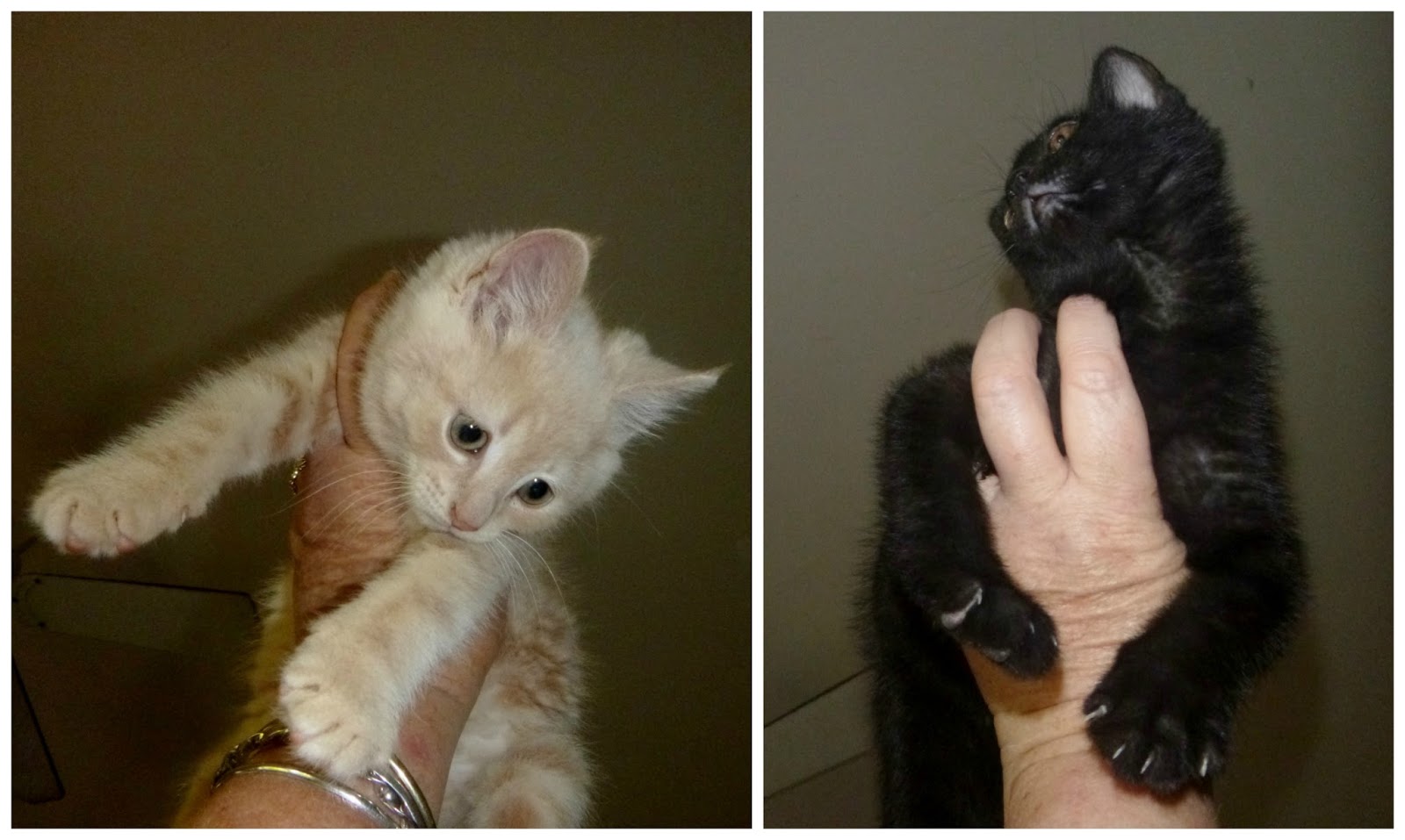 "You can call me Sue": Pinch and a punch for the first of the month!!!