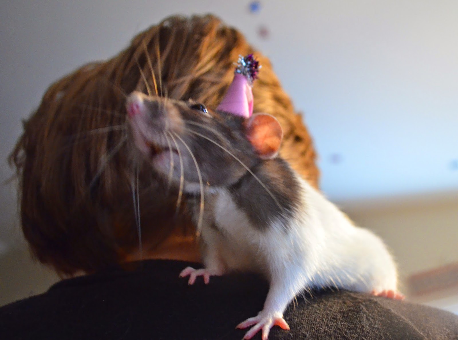 Crafty Mom of 3: It's A Rat Birthday Party!!!!