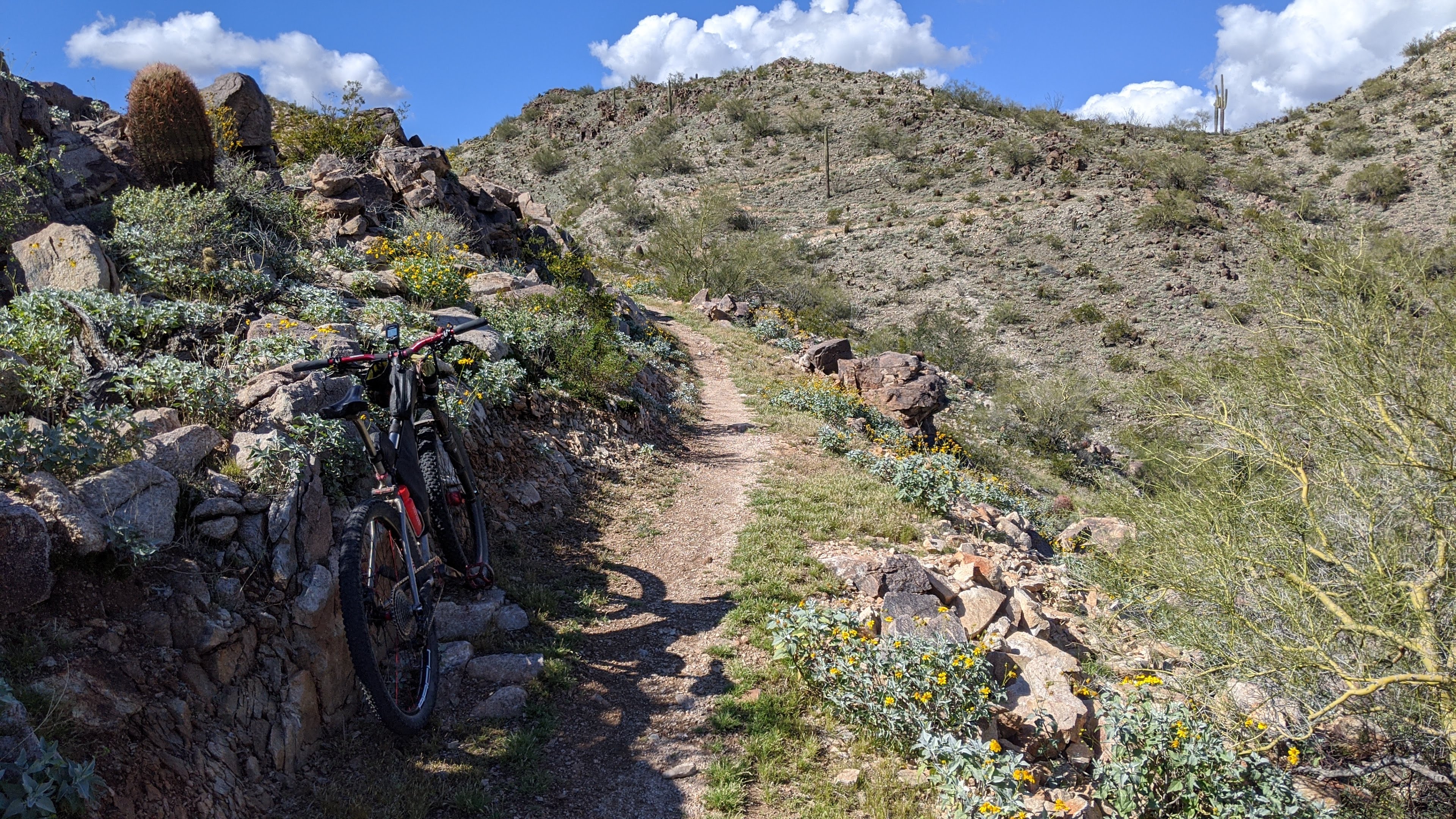 My Two Schillingsworth: Verrado: Lost Creek & Skyline