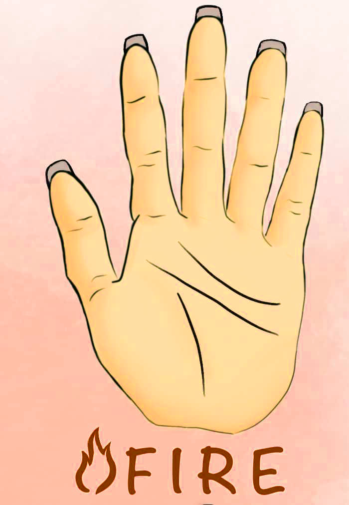 Shape Of Hand In Palmistry - Fire Hand ~ INDIAN PALMISTRY | PALM ...