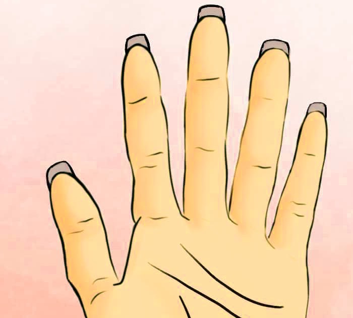 Shape Of Hand In Palmistry - Fire Hand ~ INDIAN PALMISTRY | PALM ...