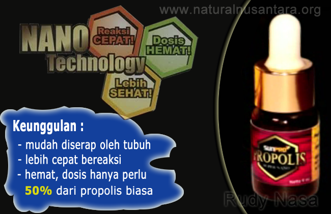 SUNPRO SUPER NANO PROPOLIS