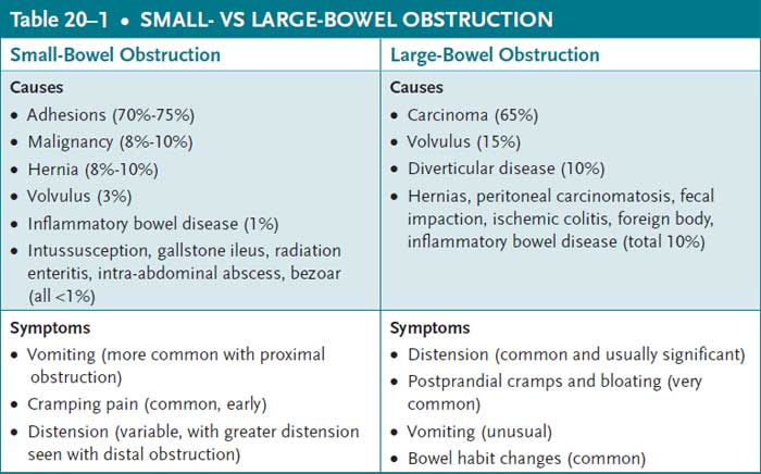 Intestinal Obstruction Case File