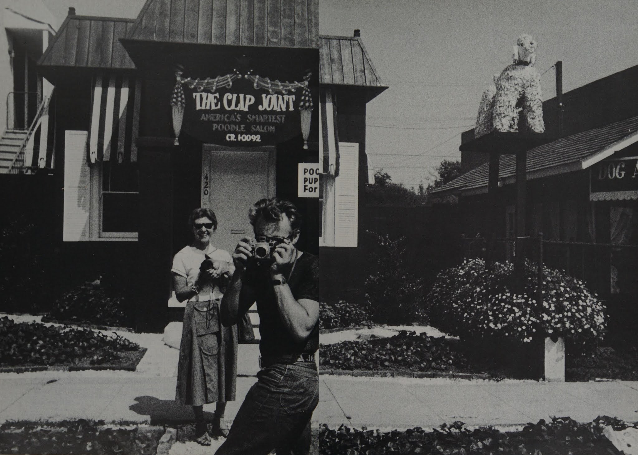 JAMES DEAN: AUTÓGRAFOS Y FANS DE JAMES DEAN.