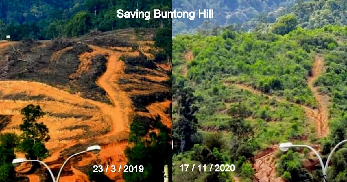 KINTA CHRONICLES: Saving Buntong Hill, Kledang Range