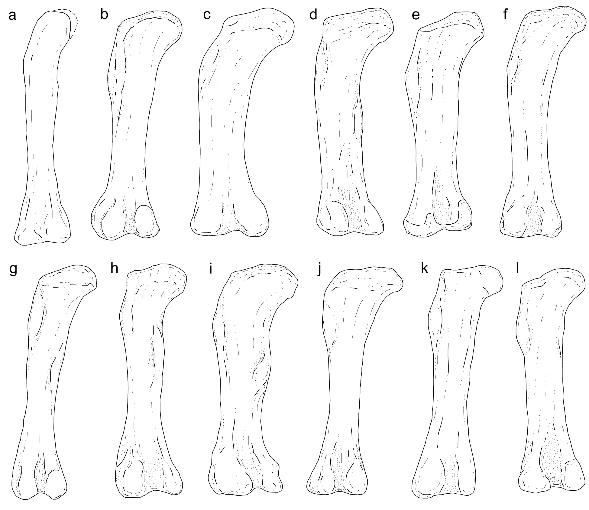 Equatorial Minnesota: Your Friends The Titanosaurs, part 29 ...