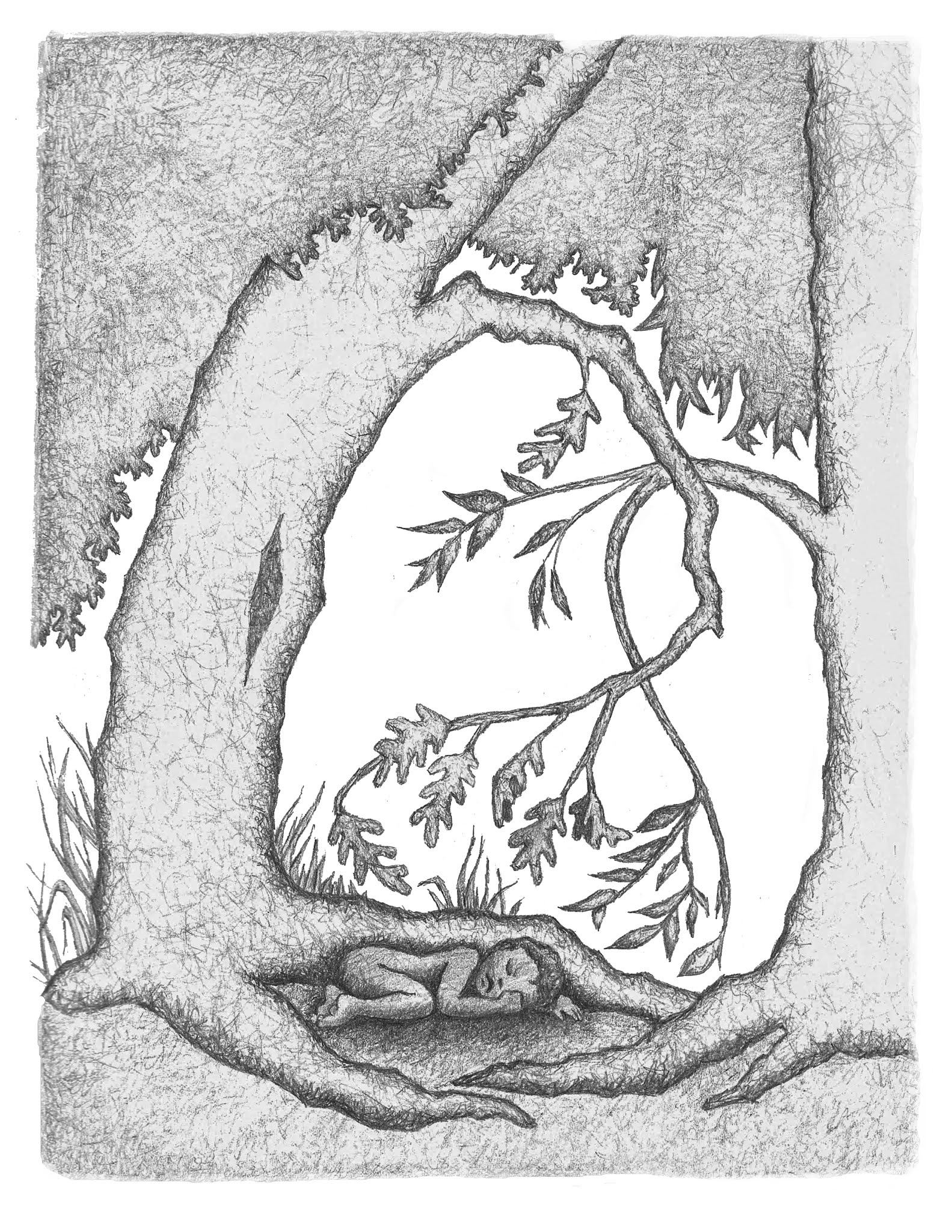 Sandra Ure Griffin: THE TREELING