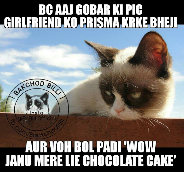 10 Bakchod Billi Memes that will make you LAUGH OUT LOUD - Inglish Baba ...