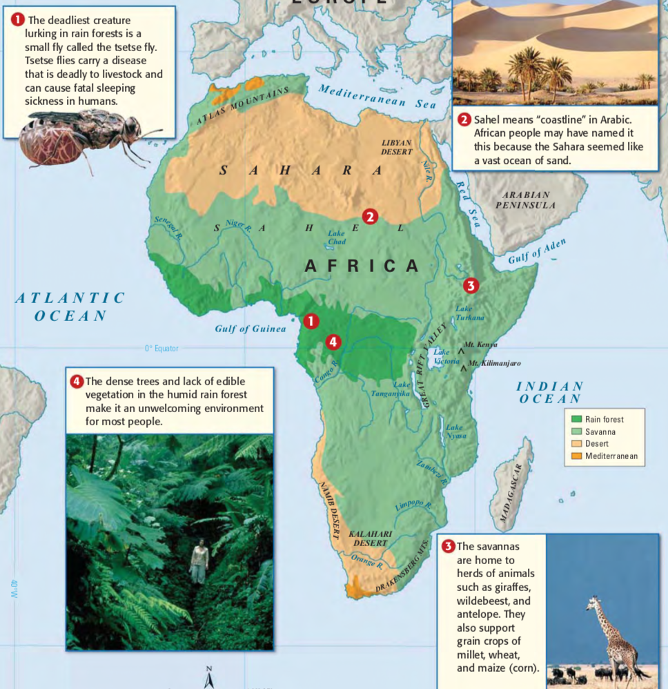 Mr. Shi's Global 9: Trans-Sahara Gold-Salt Trade