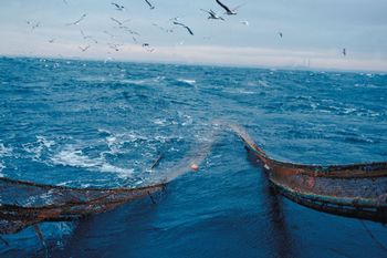 mamabishop: Put Out Into Deep Water