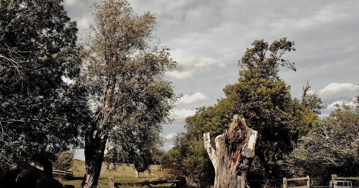 A baker’s half-dozen photos of an early autumn walk to Grantchester ...