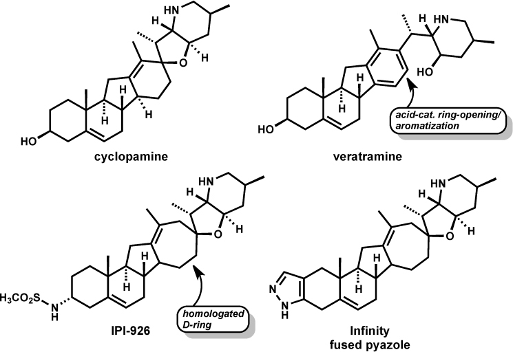 modern steroid science: Cyclopamine, a Potent Antagonist of the ...