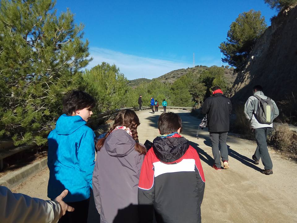 POBLADO IBÉRICO DE PUIG CASTELLAR